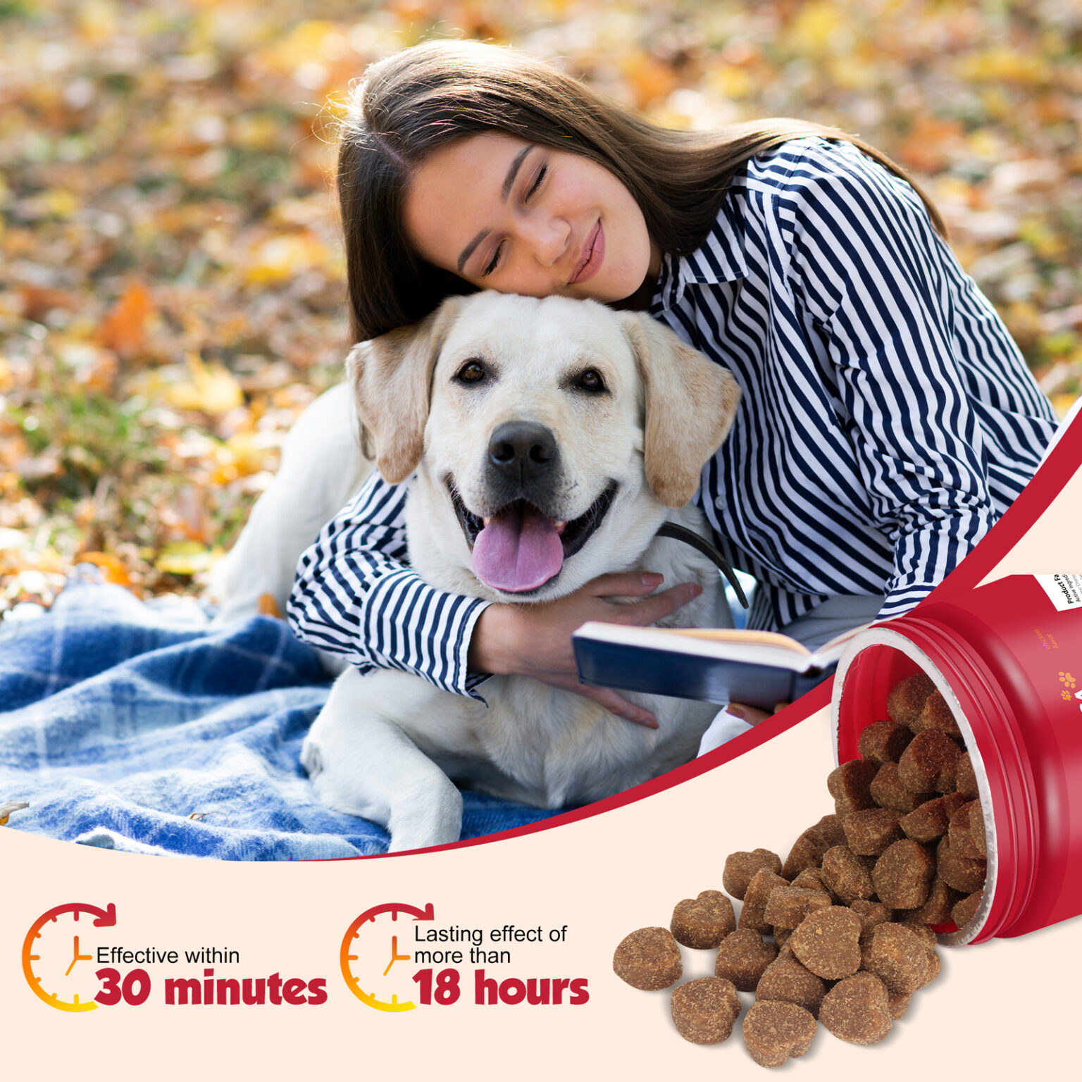 Anxiety Meds for Dogs: Vet-Approved Solutions for Safe & Effective ...